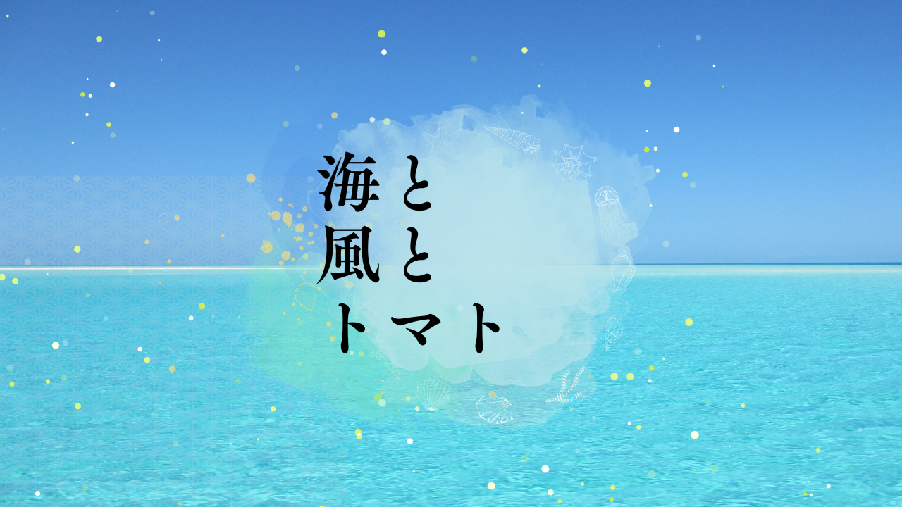 VW Warning Lights Explained | 海と風とトマト